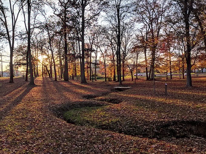 Borden Park's golden hour transforms fallen leaves into nature's confetti, celebrating another day of affordable living.