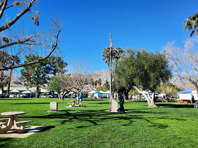 The farmers market transforms Christmas Circle into a community gathering spot, where desert dwellers connect under the shade of towering palms.
