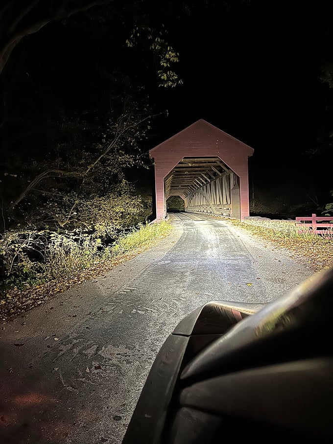 By night, the bridge transforms into something almost mystical. Headlights illuminate what moonlight can't quite reach.