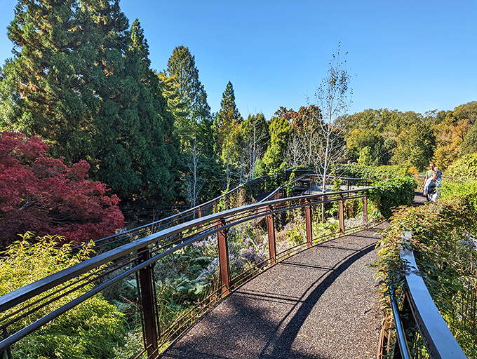 This elevated walkway offers views that make you feel like you're floating above the garden&mdash;nature's version of first-class seating.
