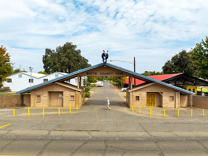 The Butte County Fair entrance promises agricultural competitions, carnival rides, and the inevitable purchase of something fried on a stick.