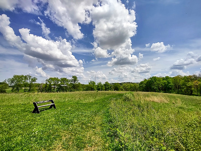 Where butterflies throw parties and prairie grasses dance. This meadow habitat showcases Indiana's commitment to preserving native ecosystems.