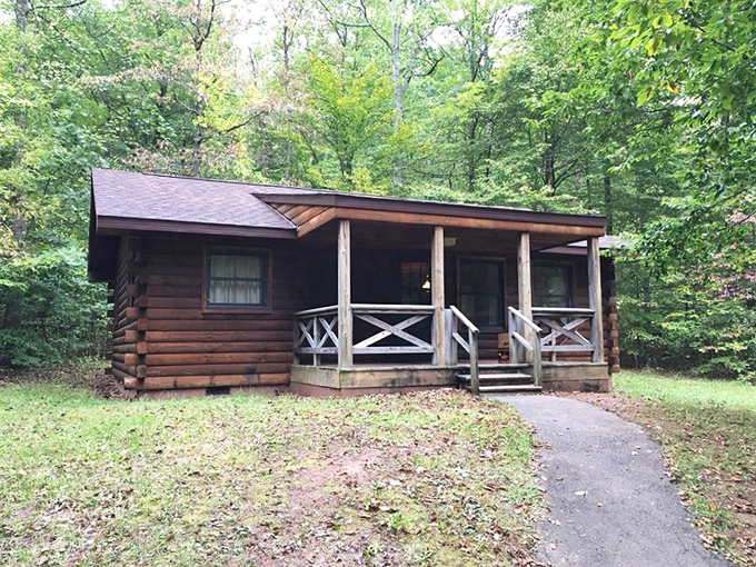 Rustic cabins offer camping's comforts without the tent-assembly arguments. Marriage-saving accommodations in the woods.