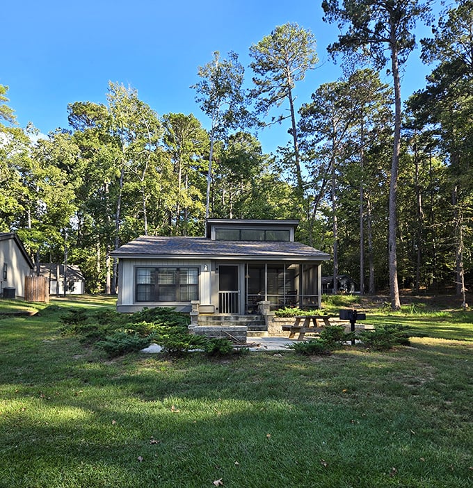 A cozy cabin nestled among towering pines offers the perfect blend of nature and comfort.