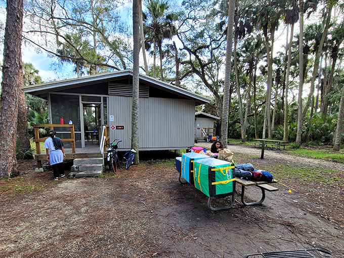 The rustic cabins blend into their surroundings, offering shelter without sacrificing the feeling that you're still very much in nature's domain.