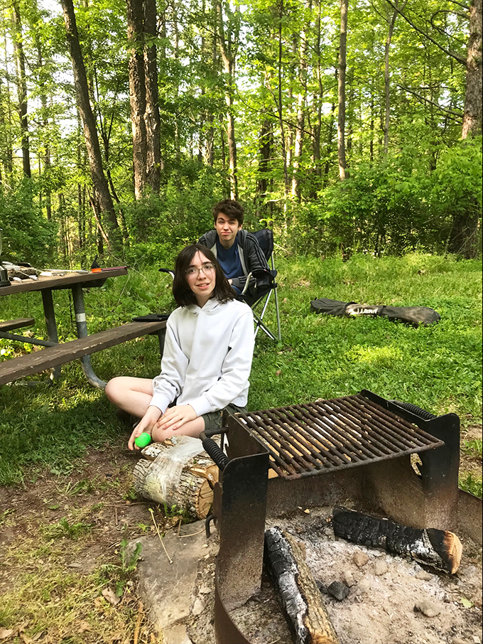 Forest therapy in session. The lush summer greenery creates nature's perfect meditation space, complete with picnic table and fire ring.