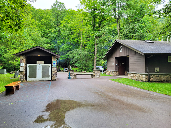The visitor facilities blend so perfectly with their surroundings, they look like they grew from the forest floor.