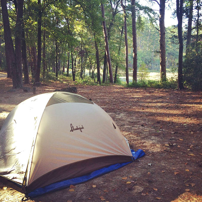 Camping simplified: one tent, endless stars, and the kind of silence city folks pay therapists to recreate through noise machines.