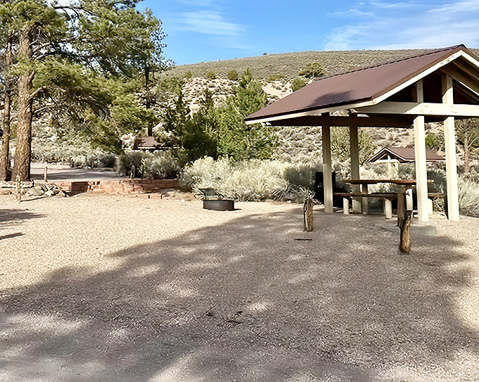 Campsite perfection with a shelter that offers shade by day and a frame for stargazing by night. Your reservation to nowhere important.