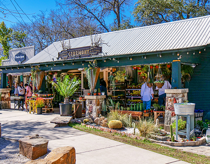 Ceremony Botanical Studio brings the outdoors in, where cacti and wildflowers transform shopping into a garden adventure.