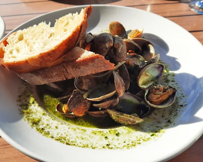 These aren't just clams&mdash;they're tiny ocean treasures having a pool party in herb-infused broth with crusty bread lifeguards standing by.