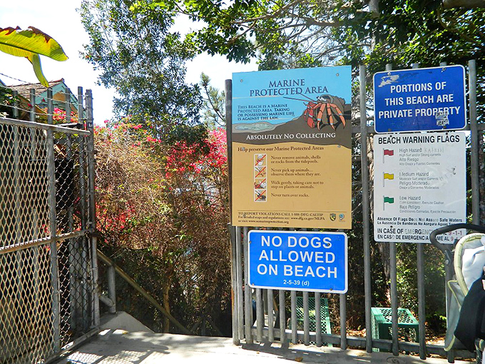 The sign says "Marine Protected Area," but it might as well read "Nature's Masterpiece: Please Don't Touch the Artwork."