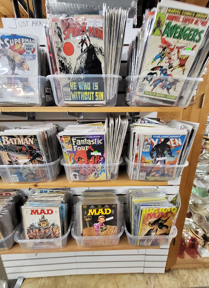 Comic book heaven where superheroes wait patiently in plastic sleeves. Spider-Man looks as fresh today as he did swinging through 1970s Manhattan.