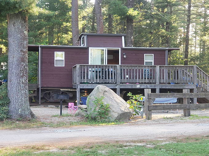Who needs a fancy hotel when you've got a converted train car surrounded by forest serenity?