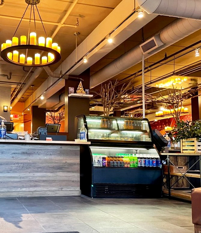 The counter area feels like backstage access to a culinary concert, complete with mood lighting that makes everything look Instagram-worthy.