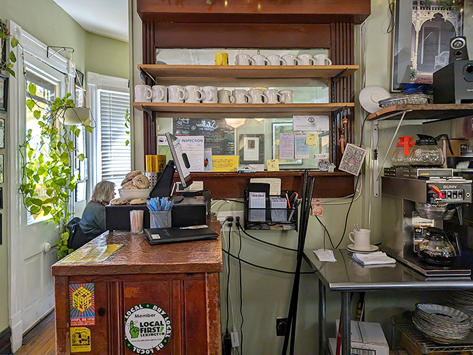 Coffee mugs standing at attention, ready for duty. This counter has probably heard more morning confessions than a church on Sunday.