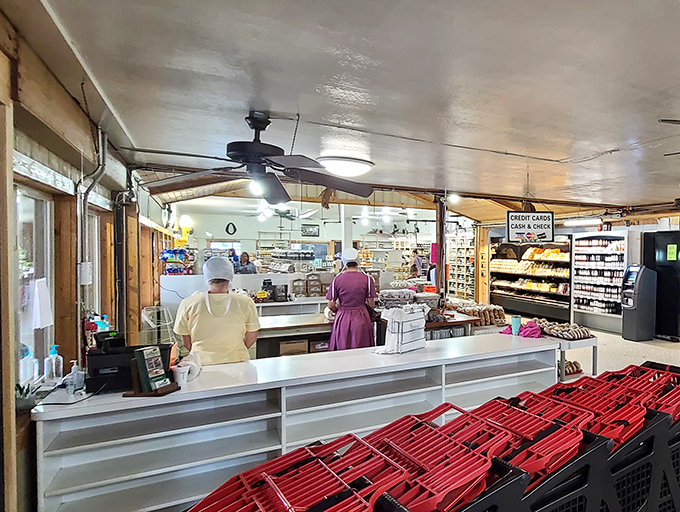 The checkout counter where wallets willingly surrender. Those red baskets aren't shopping aids—they're enablers for your appetite.