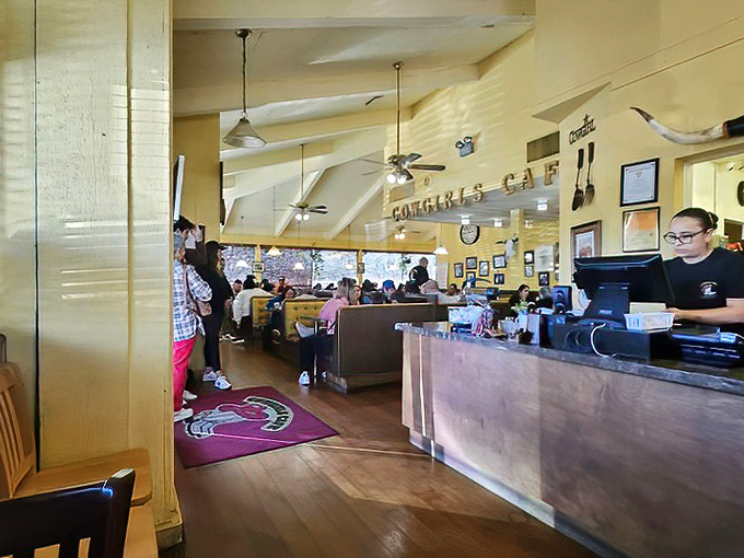 The counter area buzzes with activity, where coffee flows freely and breakfast dreams become delicious reality.