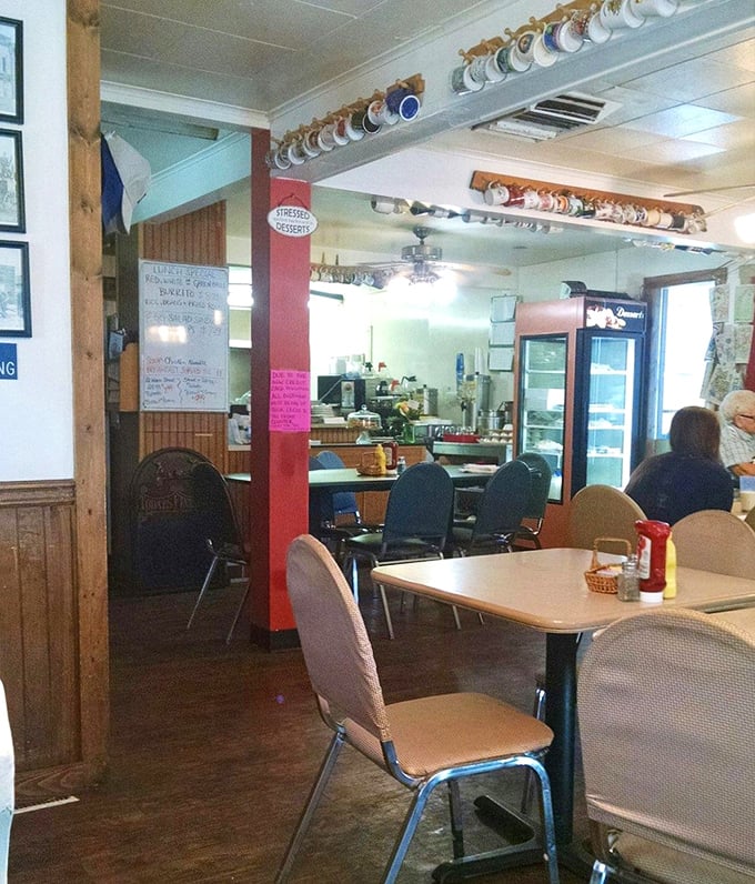 The counter area reveals the beating heart of Sherrie's &ndash; where orders are called and coffee flows like conversation.