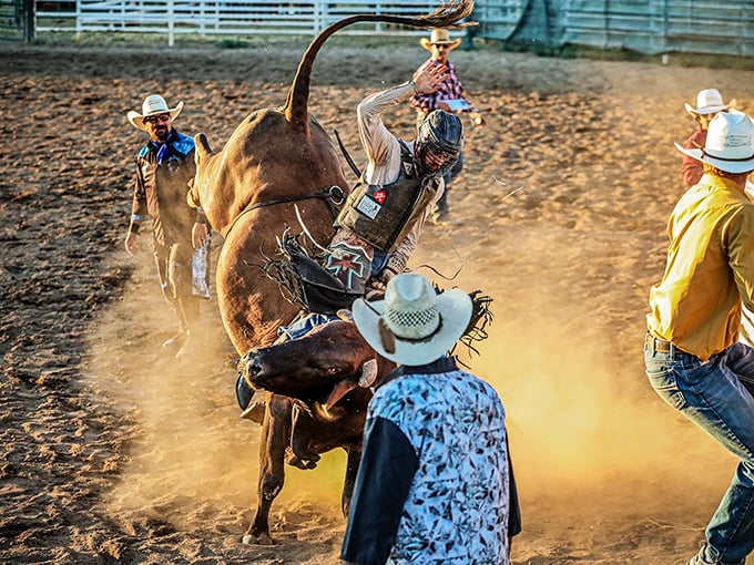 Rodeo thrills that don't come with theme park admission fees. Susanville keeps Western traditions affordable and authentic.
