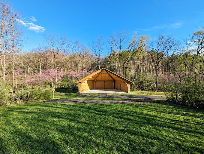 Outdoor performance spaces tucked into natural settings offer free summer concerts where lawn chairs and picnic baskets create perfect evening memories.