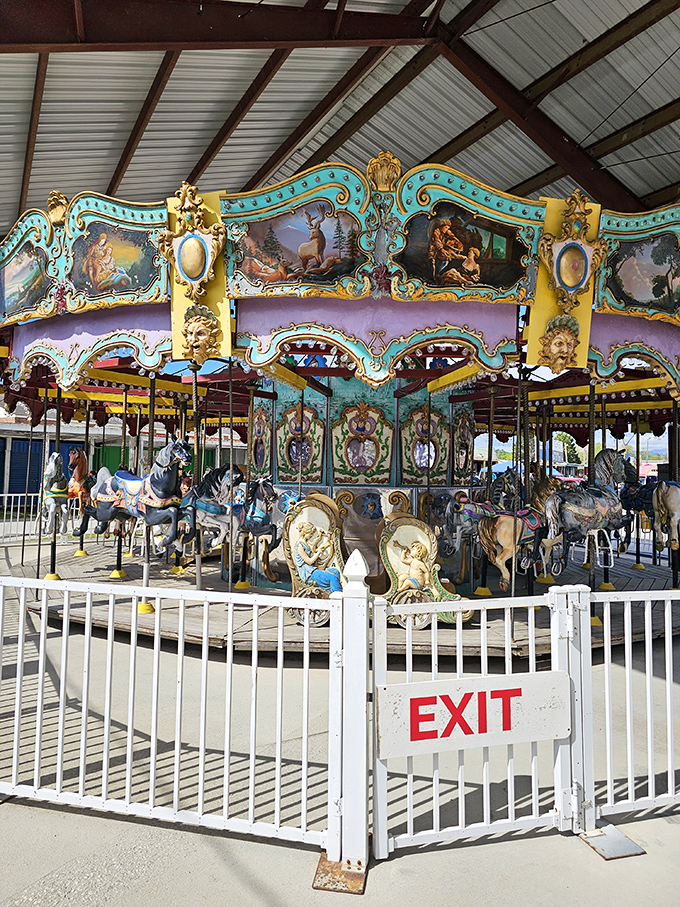 A vintage carousel that proves some treasures aren't for sale&mdash;they're experiences waiting to be had between bargain hunts.