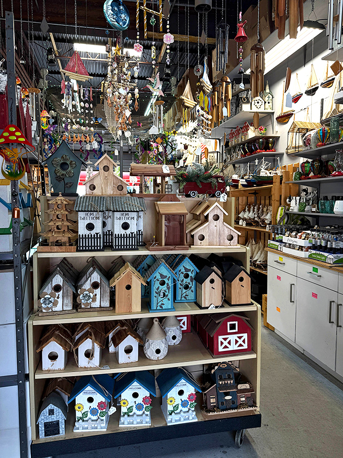 A birdhouse wonderland where every feathered friend can find their dream home, from rustic cabins to beachfront cottages.