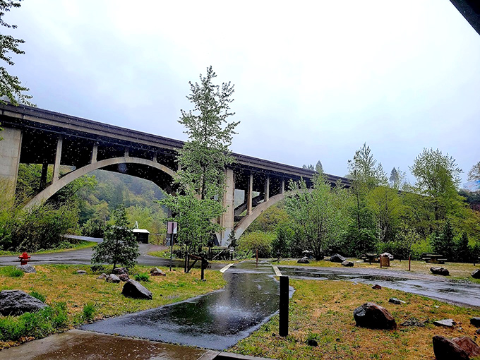 This impressive bridge spans the canyon with architectural grace, connecting Dunsmuir's natural beauty with its practical infrastructure needs.
