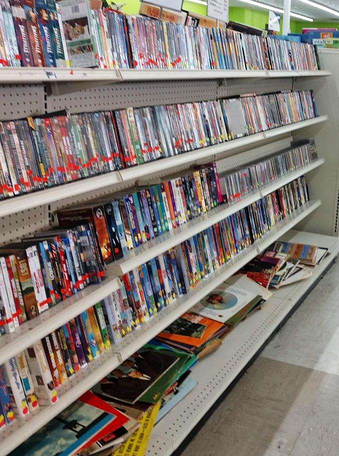 DVD shelves packed with cinematic history &ndash; from blockbusters to obscure documentaries. Your next movie marathon is hiding somewhere in these rows.