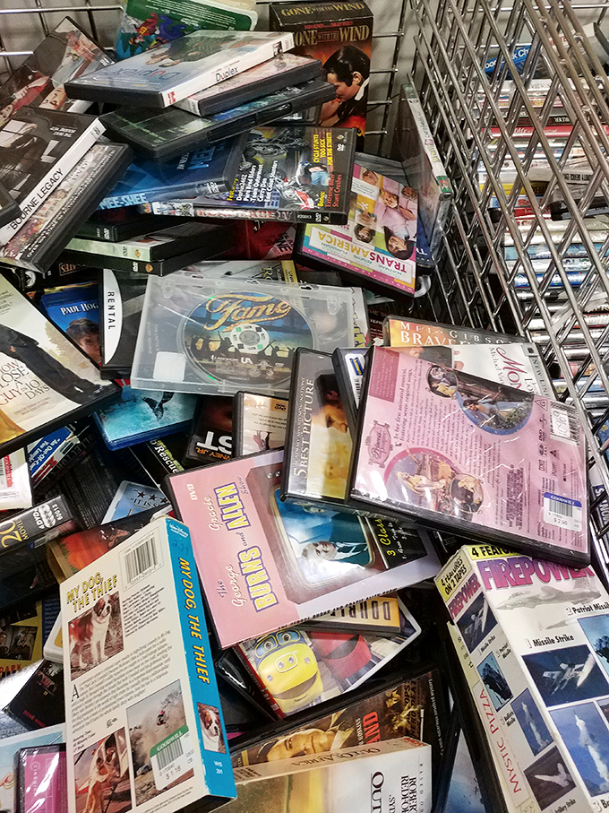 The DVD bin—archaeological evidence of entertainment before streaming, where cinematic treasures hide among forgotten sequels.