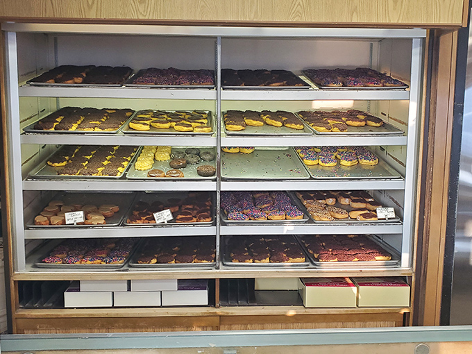 A donut museum where every exhibit is edible. This display case showcases more artistry than many galleries I've visited.