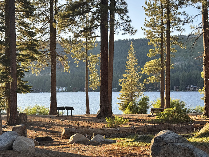 Nature's front row seats at Donner Lake. The pines stand like patient sentinels, witnessing countless sunsets that never get old.