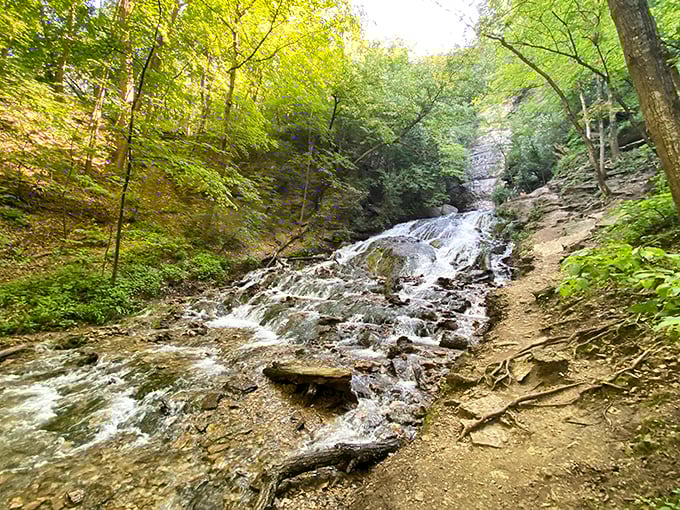 Dunning's Spring waterfall tumbles through limestone cliffs, offering million-dollar views for exactly zero dollars admission.