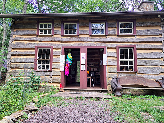 Log cabin authenticity without the pioneer hardships&mdash;the Eagles Mere Conservancy connects visitors with the area's natural heritage.
