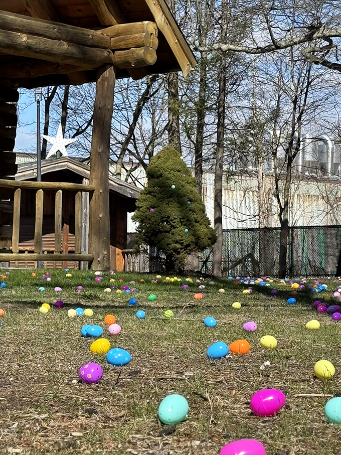 Easter eggs scatter across the park proving some traditions never go out of style, thankfully.