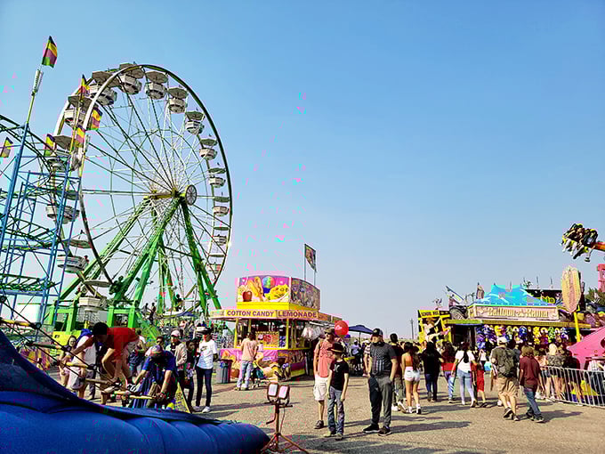 The Eastern Idaho State Fair brings carnival thrills that delight without requiring a second mortgage&mdash;cotton candy included. 