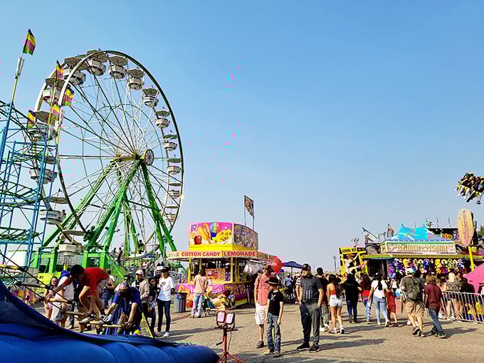 Eastern Idaho State Fair bringing carnival magic without Vegas prices &ndash; your grandkids will thank you.