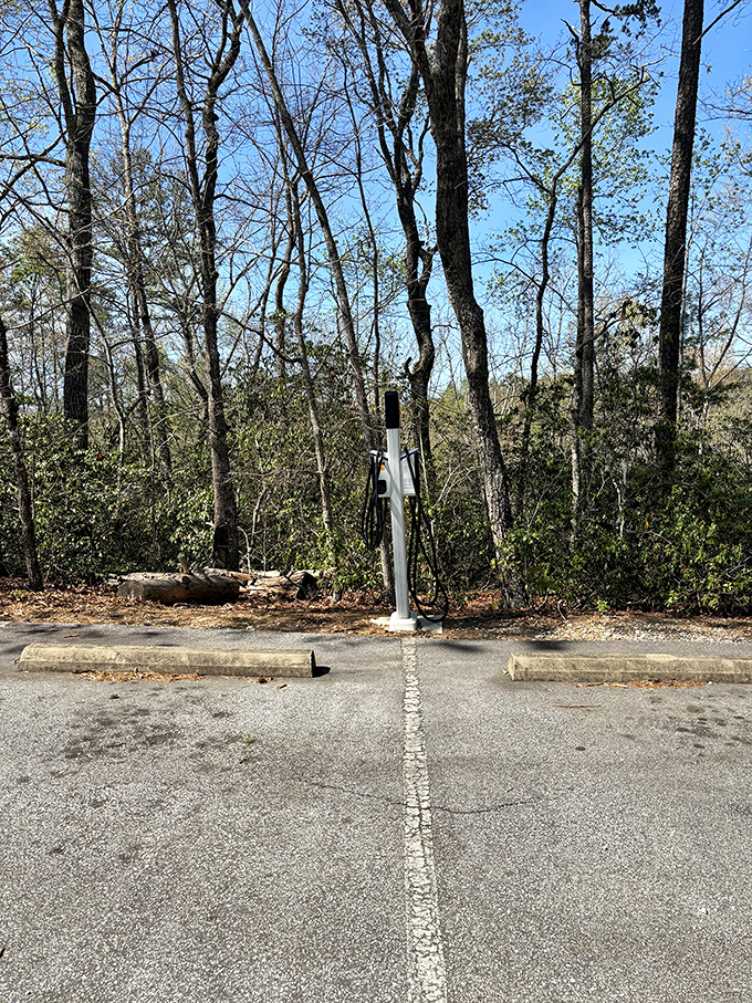 Even in nature's playground, modern conveniences await. This charging station powers your car while the surroundings recharge your spirit.