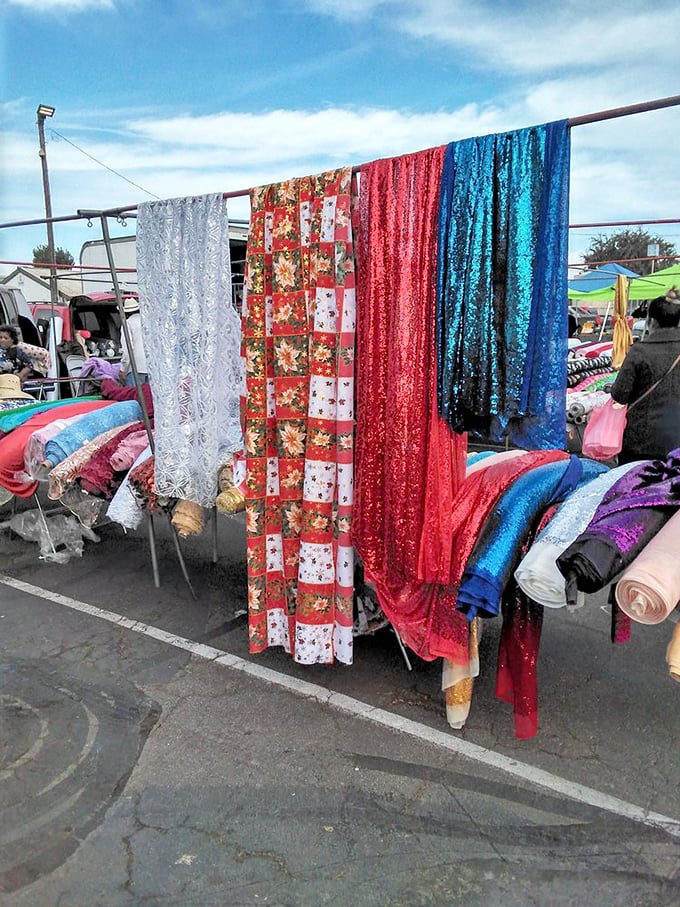 Fabric fantasyland! These shimmering textiles in holiday reds and electric blues promise to transform ordinary spaces into something magical.