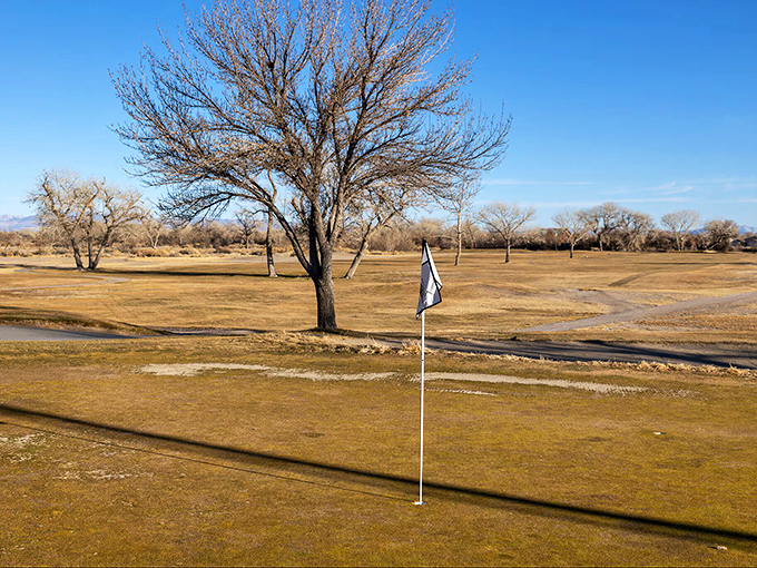 Fallon's golf course won't make the PGA Tour, but your retirement budget will thank you while you slice drives into desert rough.