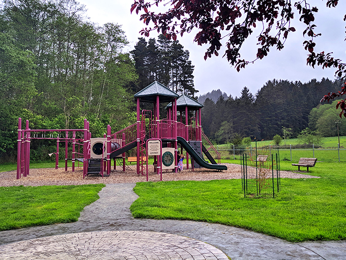 Even Ferndale's playground comes with a side of nature, proving that kids here get both fresh air and fresh perspective with their recreation.