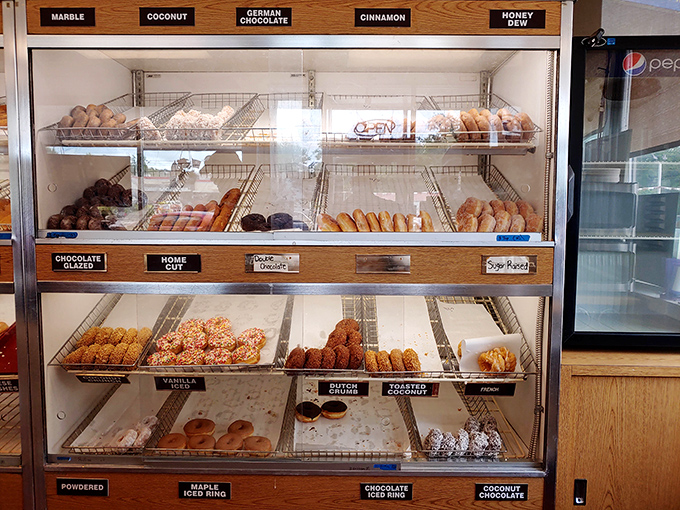 Display cases organized like a pastry library where every shelf tells a delicious story you'll want to read with your mouth.