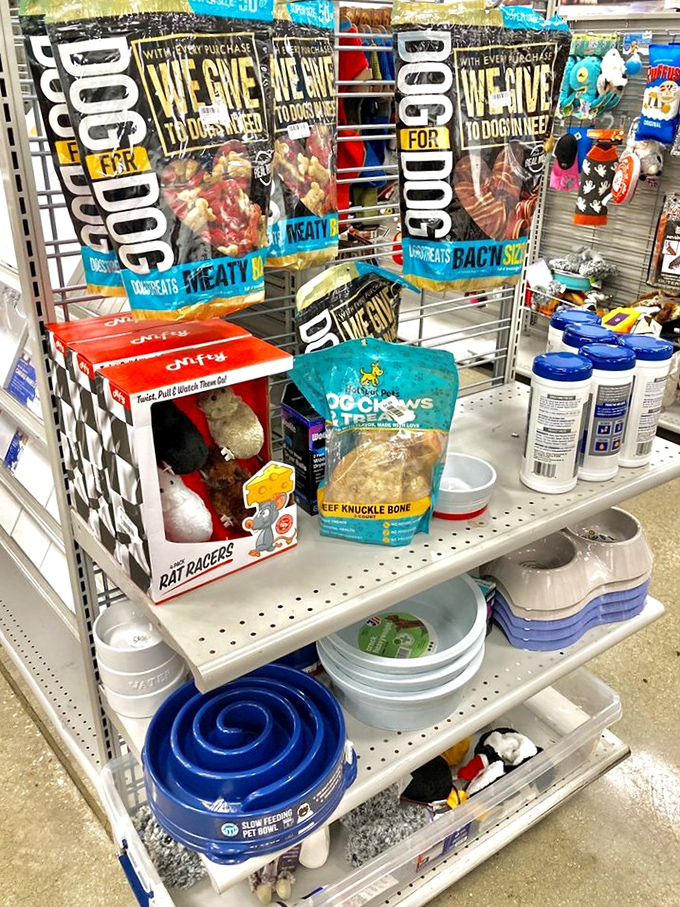 Even four-legged family members get bargain treatment—pet supplies that pamper without punishing your pocketbook.