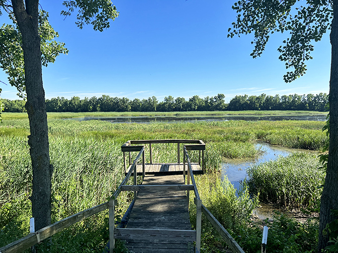 Frankfort's lagoons offer a serene escape where the only thing more abundant than cattails is the sense that retirement in a small town was your smartest financial move.