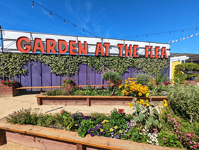"Garden at the Flea" offers a moment of blooming tranquility amid the market hustle. These raised beds prove that beauty flourishes in the most unexpected places.
