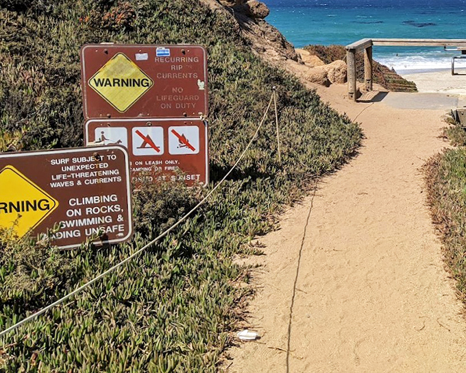 Warning signs that basically translate to "Nature: Beautiful but Not Your Friend." The path to paradise comes with fine print worth reading.