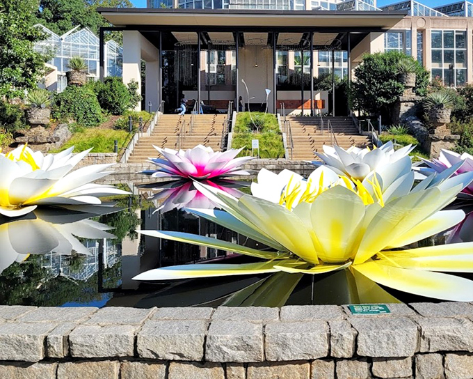 Giant lotus blossoms float like alien spacecraft, their petals unfurled in a symphony of pinks and yellows against the modern architecture beyond.