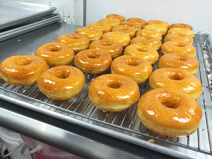 Fresh glazed donuts lined up like soldiers ready for duty. Their mission: to bring joy to Mobile, one perfect bite at a time.