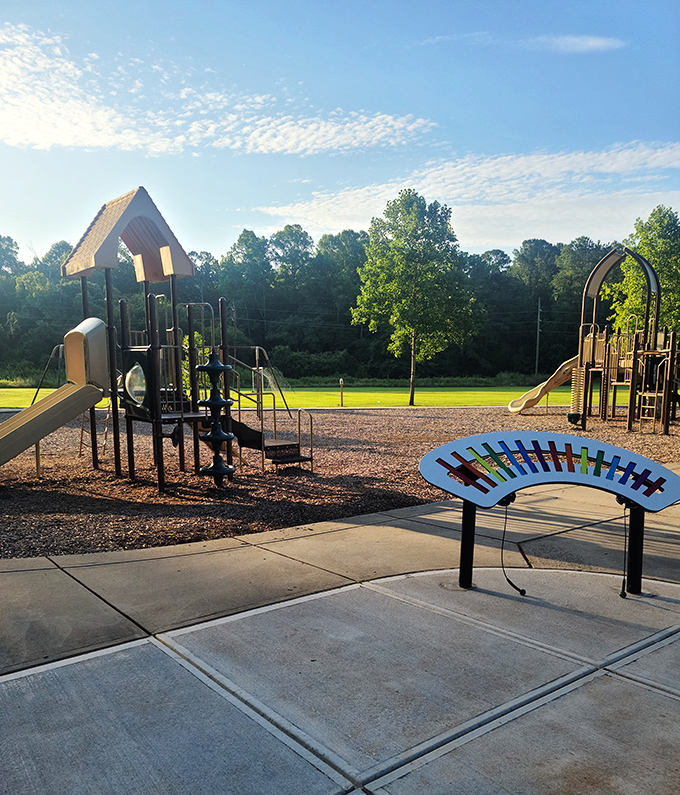 Even the playgrounds in Hillsborough feel thoughtfully designed, offering families a place to create memories against a backdrop of Carolina blue skies.