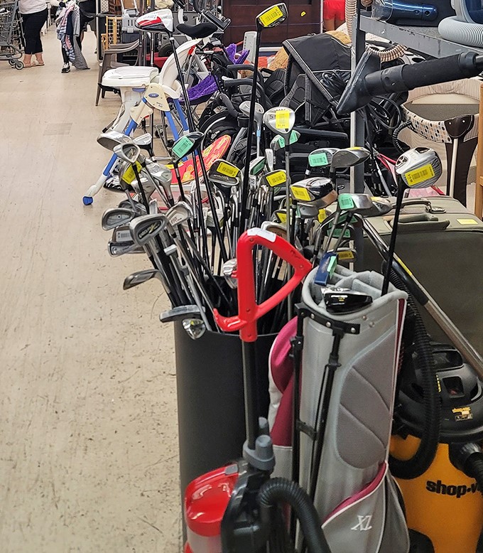 Golf club forest where weekend warriors' abandoned dreams find new hope. One man's slice is another man's bargain birdie.